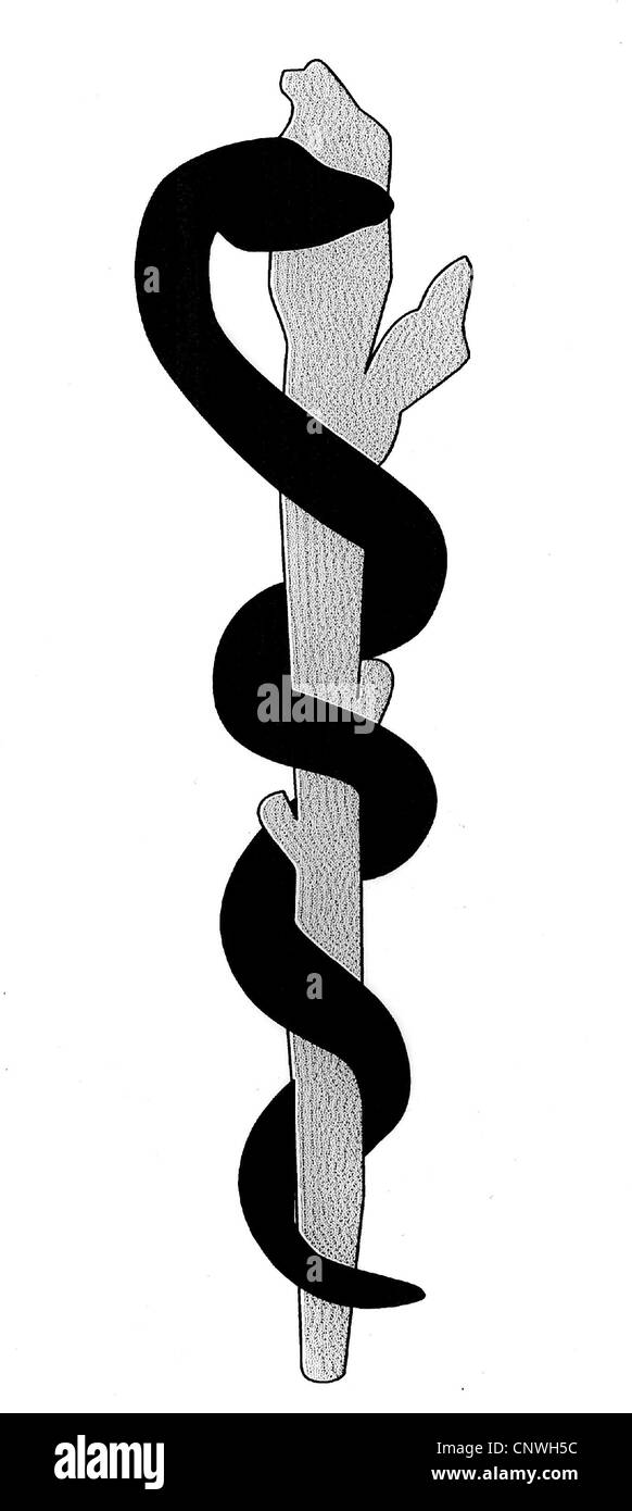 Asclepius snake hi-res stock photography and images - Alamy