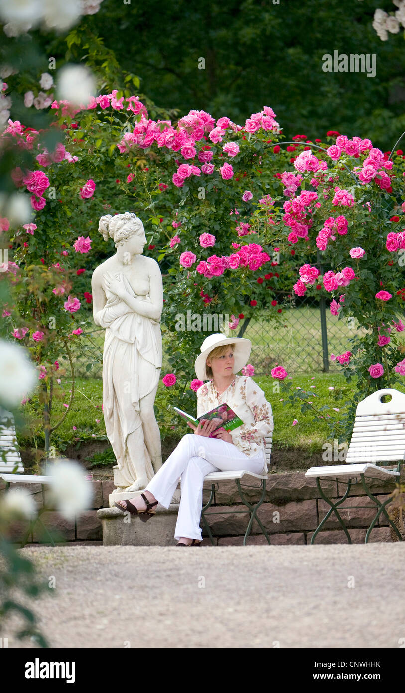 ornamental rose (Rosa spec.), woman sitting in a rose garden, Germany ...