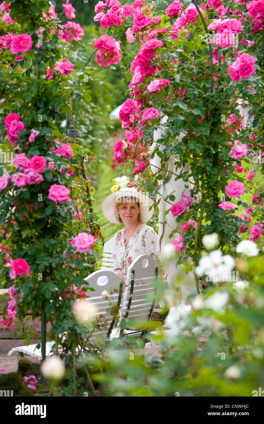 ornamental rose (Rosa spec.), woman sitting in a rose garden, Germany ...