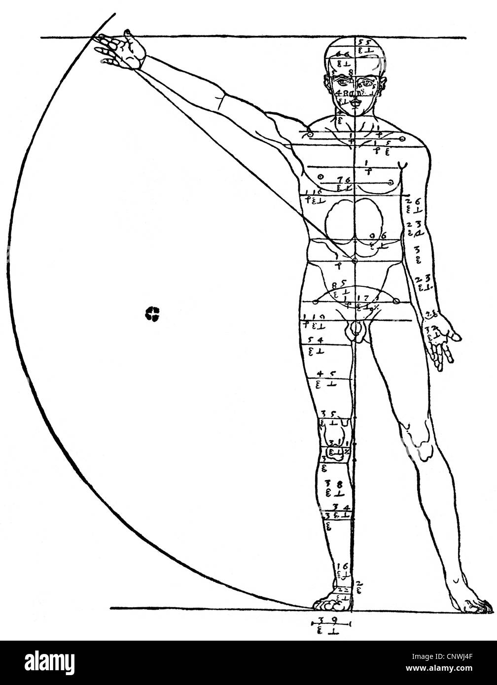 16th century german renaissance art hi-res stock photography and images ...