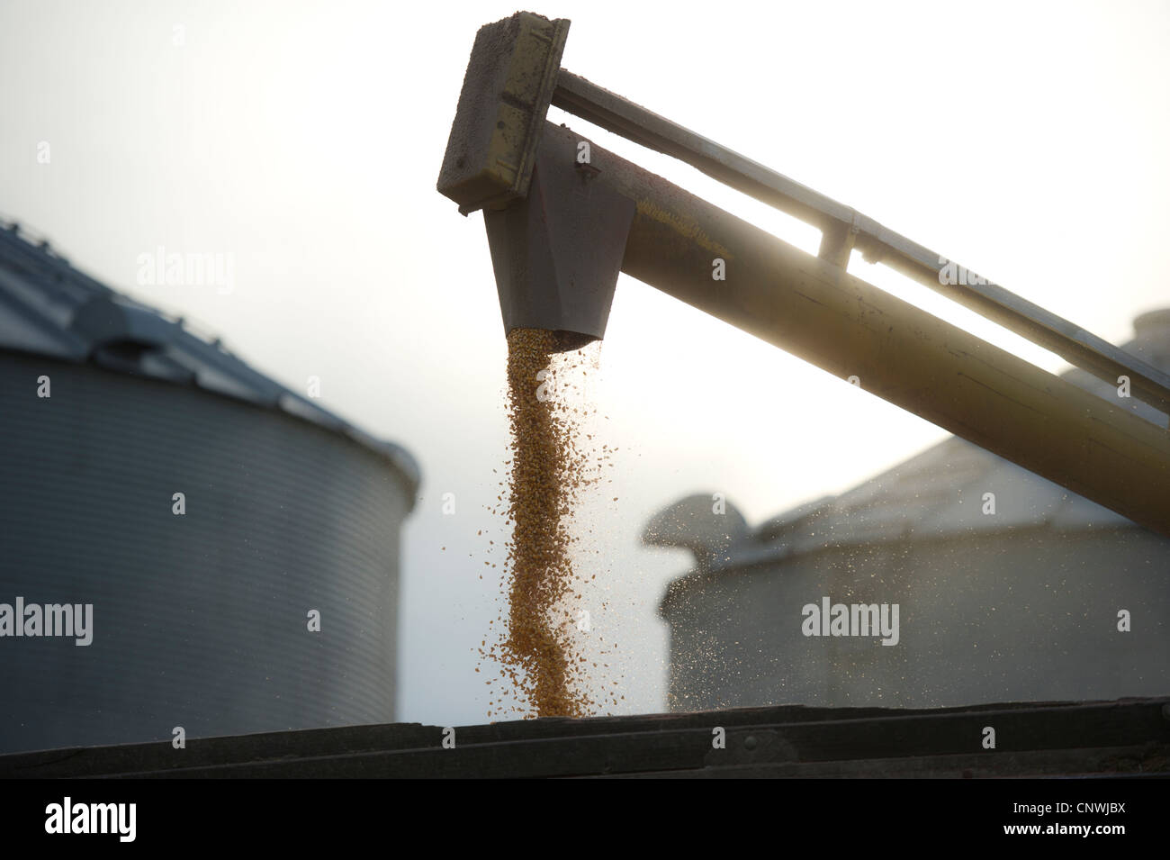 Grain production on a farm Stock Photo - Alamy