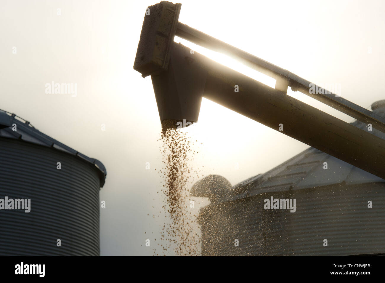 Grain production on a farm Stock Photo - Alamy