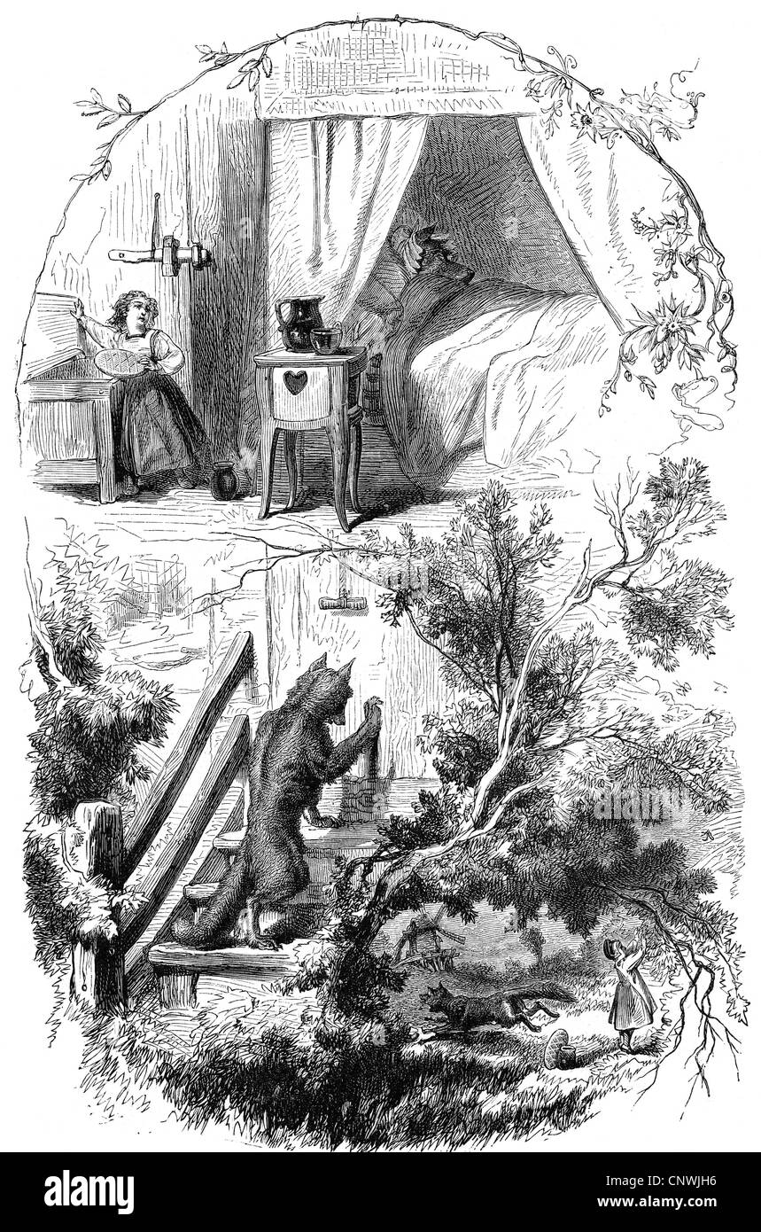 literature, fairy tales, "Little Red Riding Hood", scene, Little Red ...