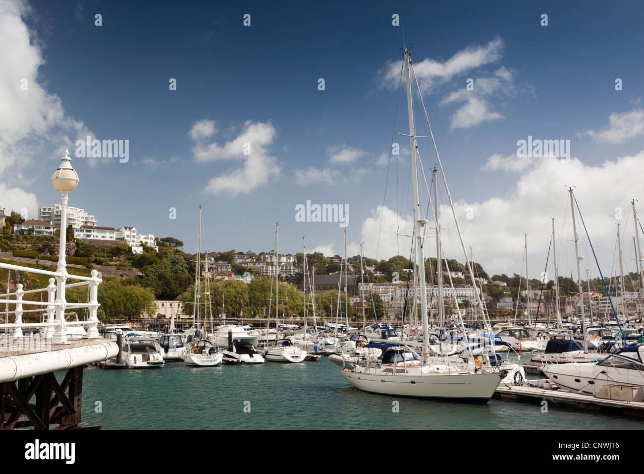 UK, England, Devon, Torquay, boats moored in the Marina Stock Photo - Alamy