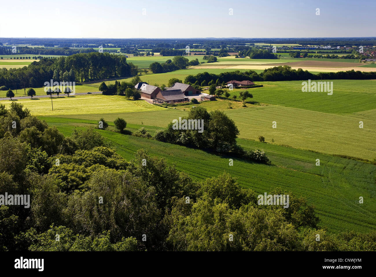 view at Sonsbecker Schweiz in Lower Rhine region, Niederrhein, Germany ...