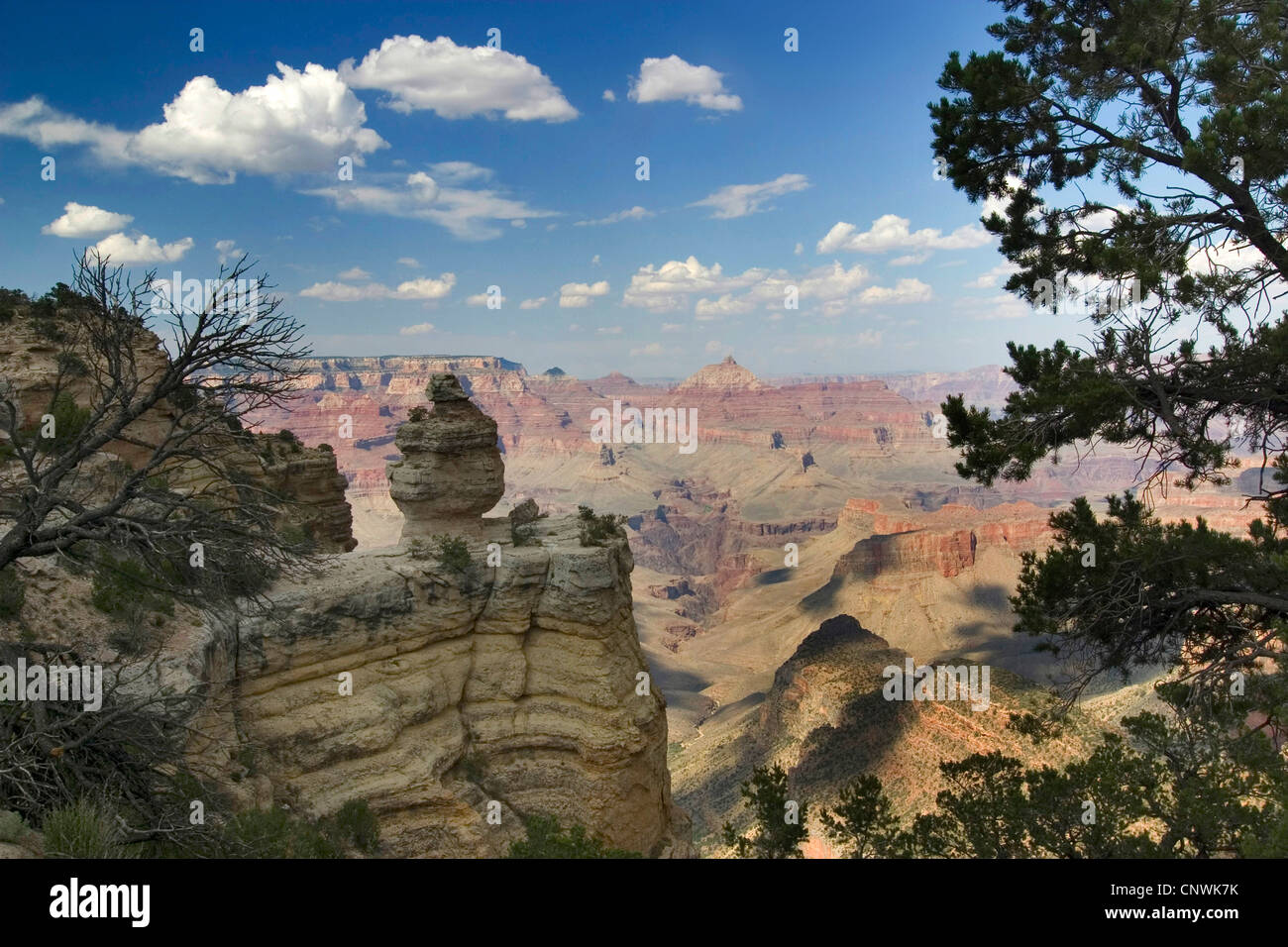 panoramic view of the Grand Canyon from the Desert View Point, USA ...