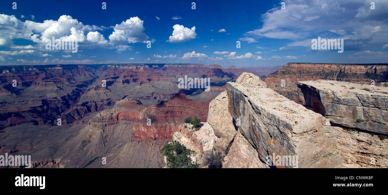 panoramic view of the Grand Canyon from the Desert View Point, USA ...