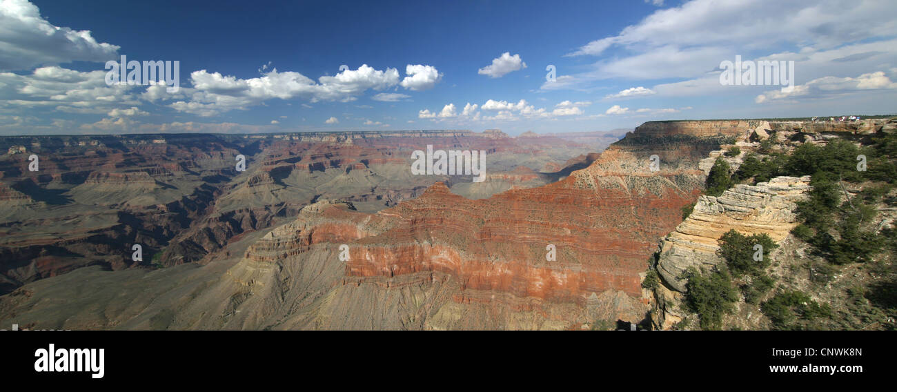 panoramic view of the Grand Canyon from the Desert View Point, USA ...