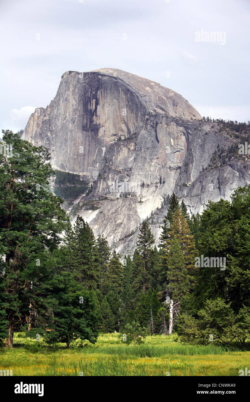 monolith El Capitan at Yosemite Nationalpark, USA, California, Sierra ...