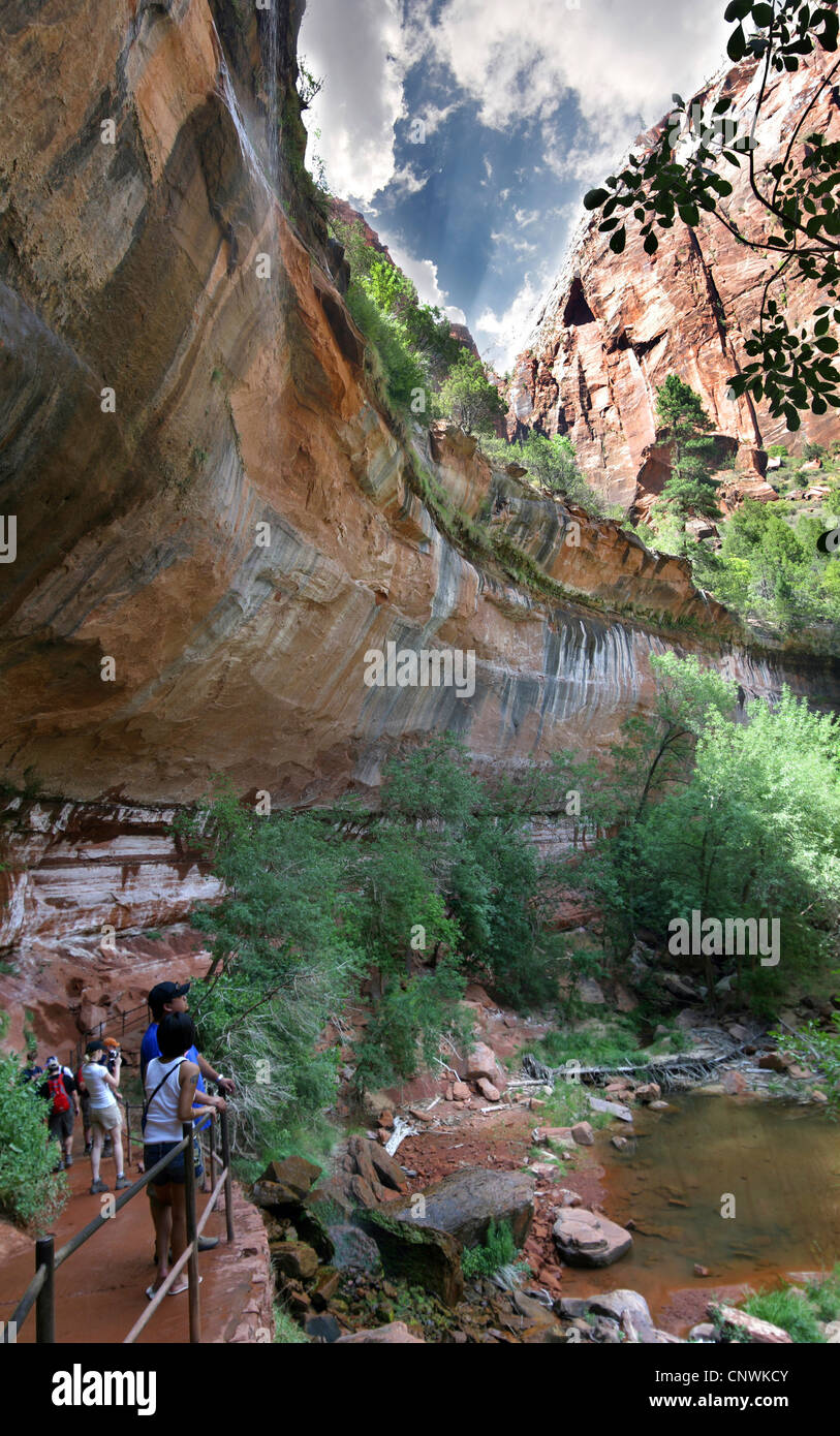 Emerald Pools Trail, USA, Utah, Zion National Park Stock Photo - Alamy