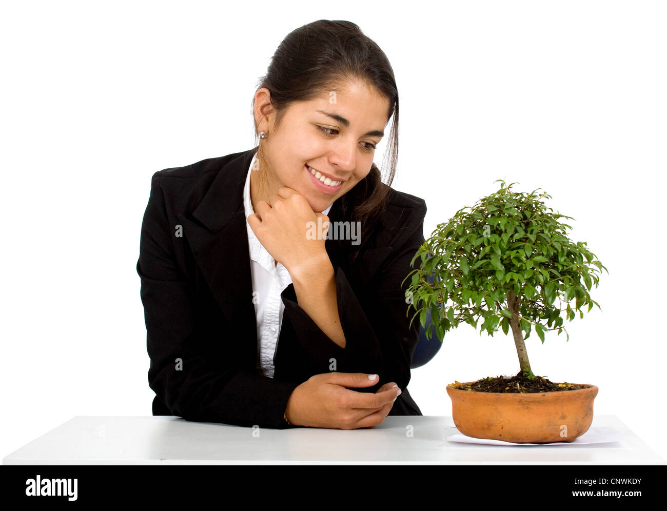 fig (Ficus spec.), business girl with a tree on her desk smiling Stock ...