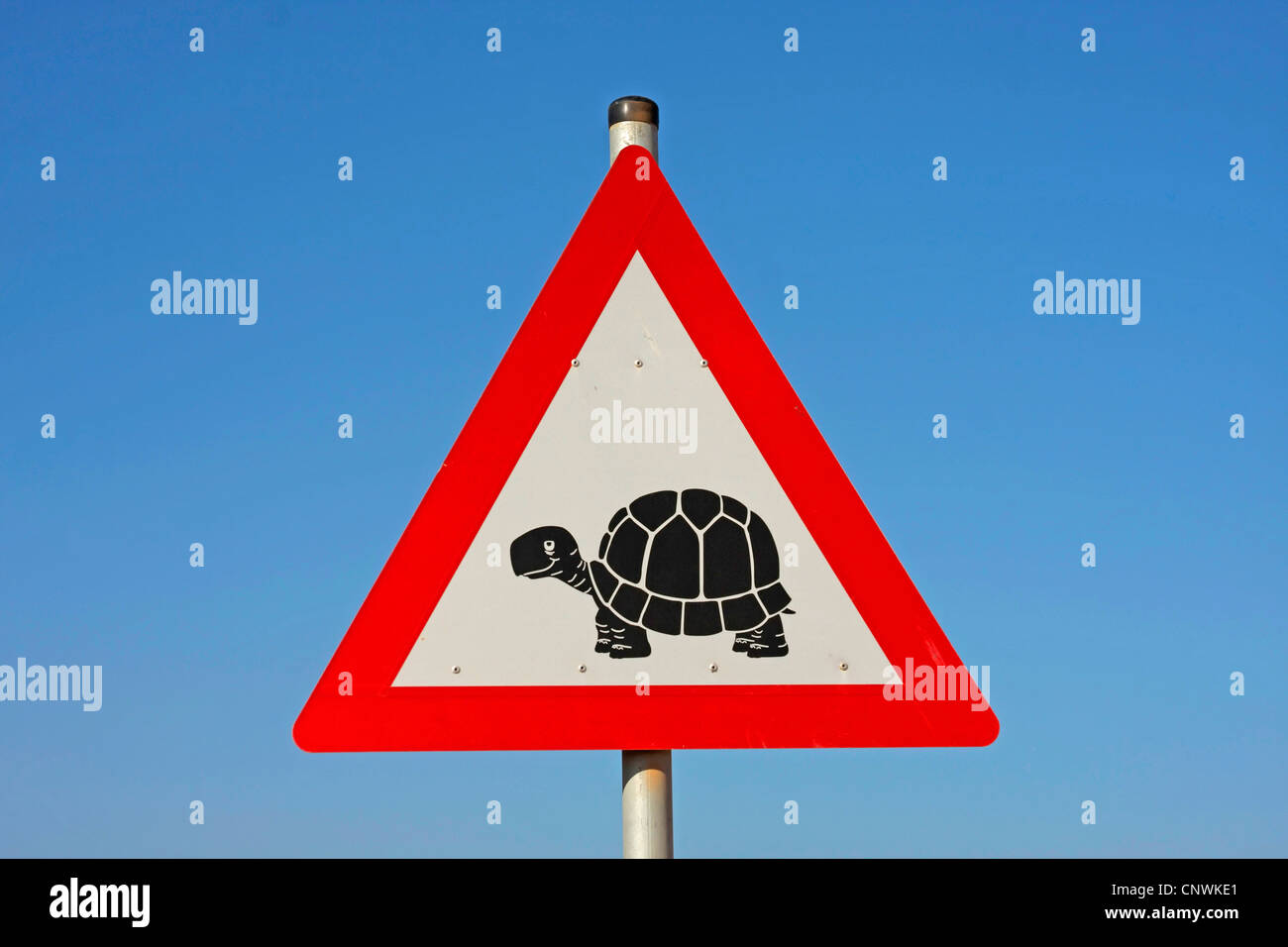 traffic sign warning against turtle pass, South Africa Stock Photo - Alamy