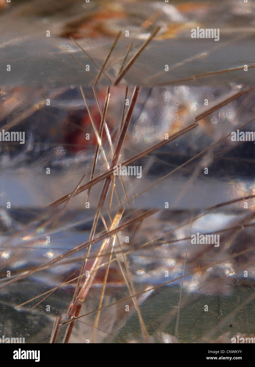 rutile in quartz Stock Photo - Alamy