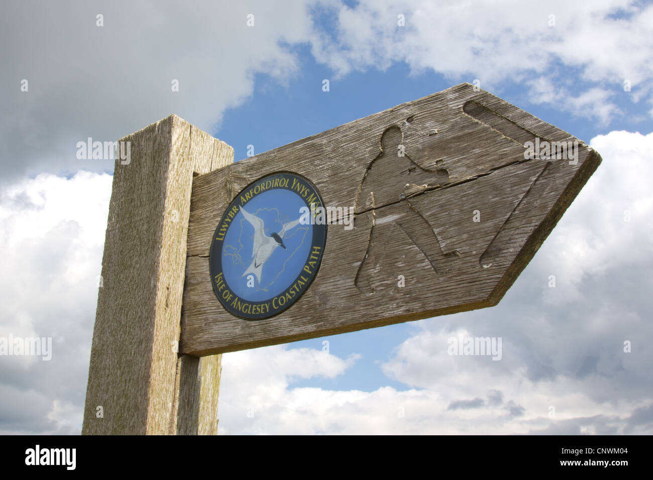 Anglesey Coastal Path waymarker sign against a blue sky Stock Photo - Alamy