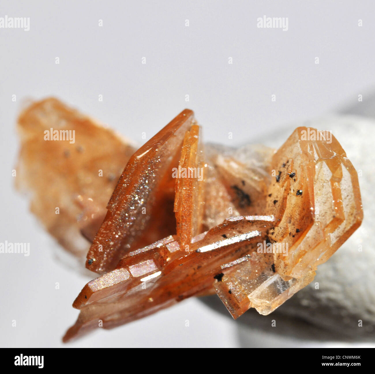Barite minerals hi-res stock photography and images - Alamy