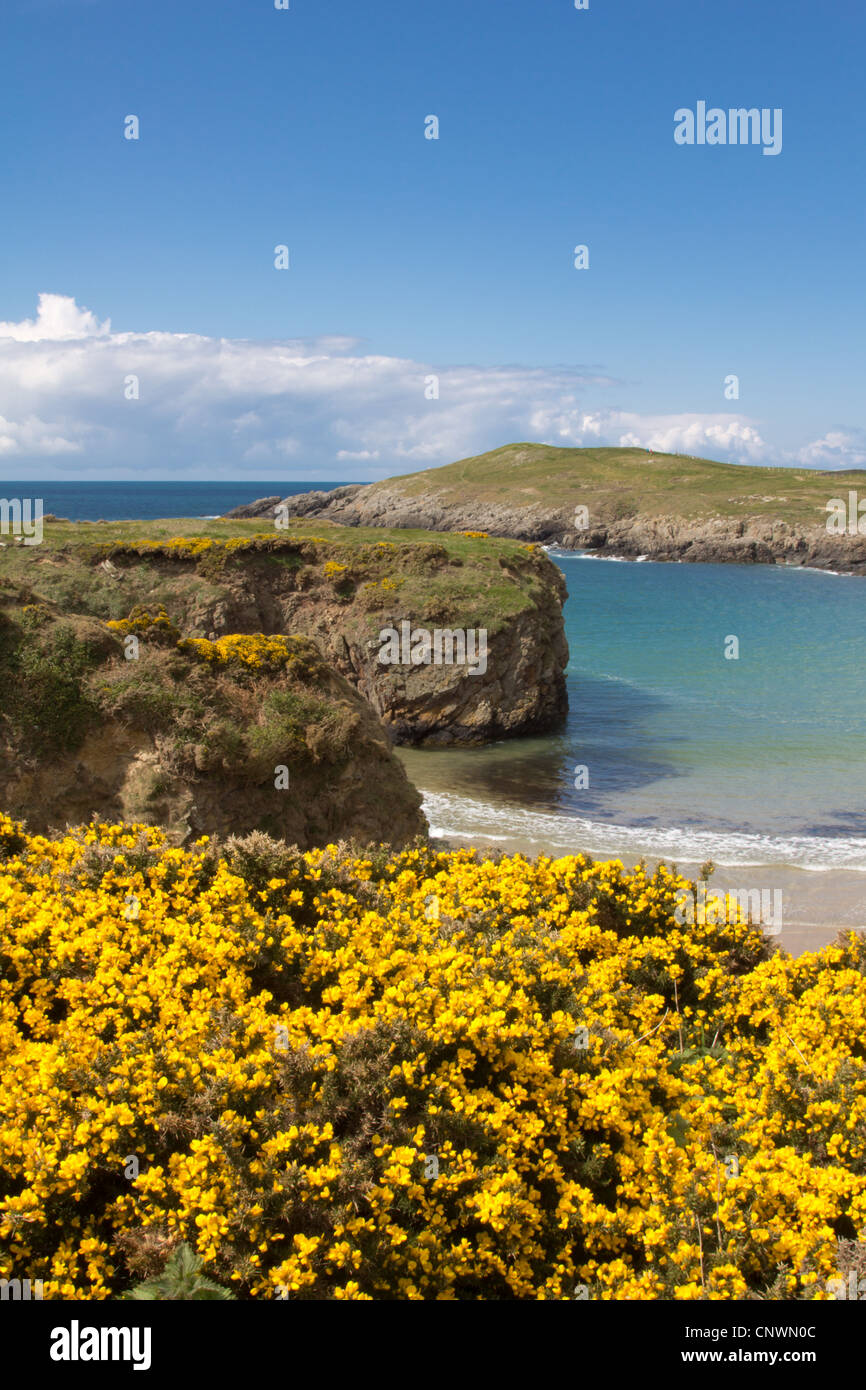 Cable bay beach hi-res stock photography and images - Alamy