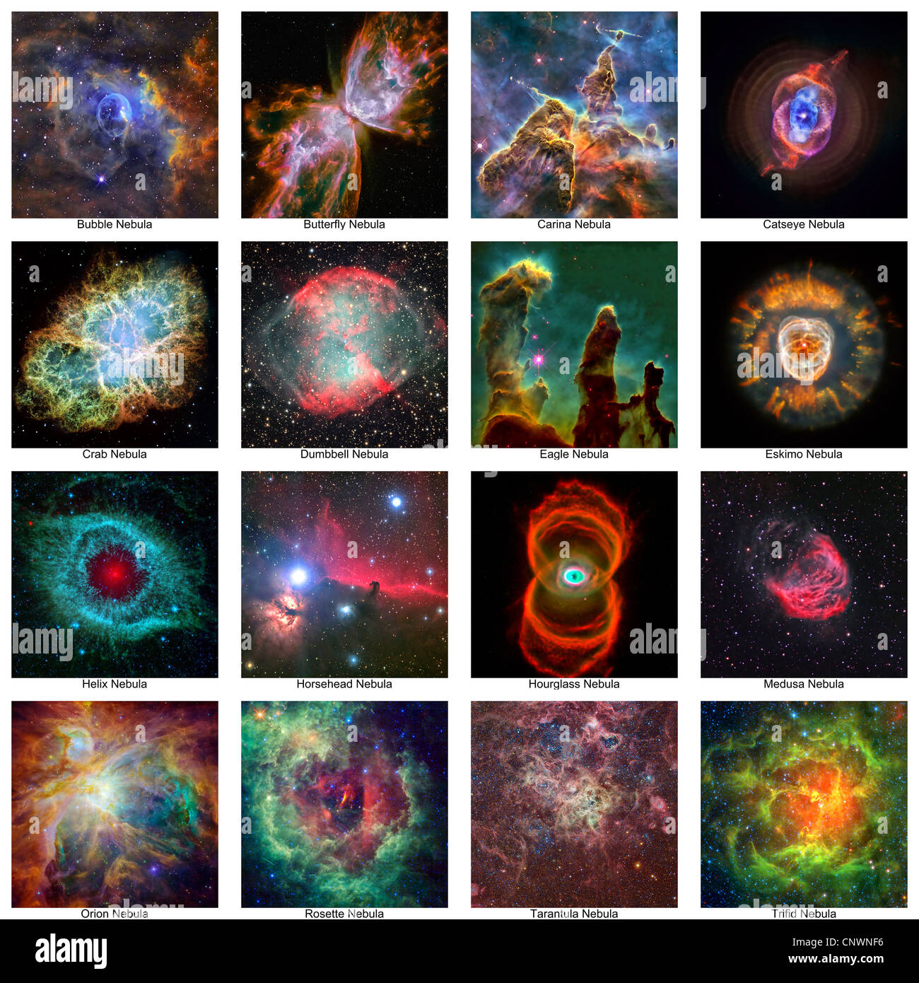 Nasa Pichers