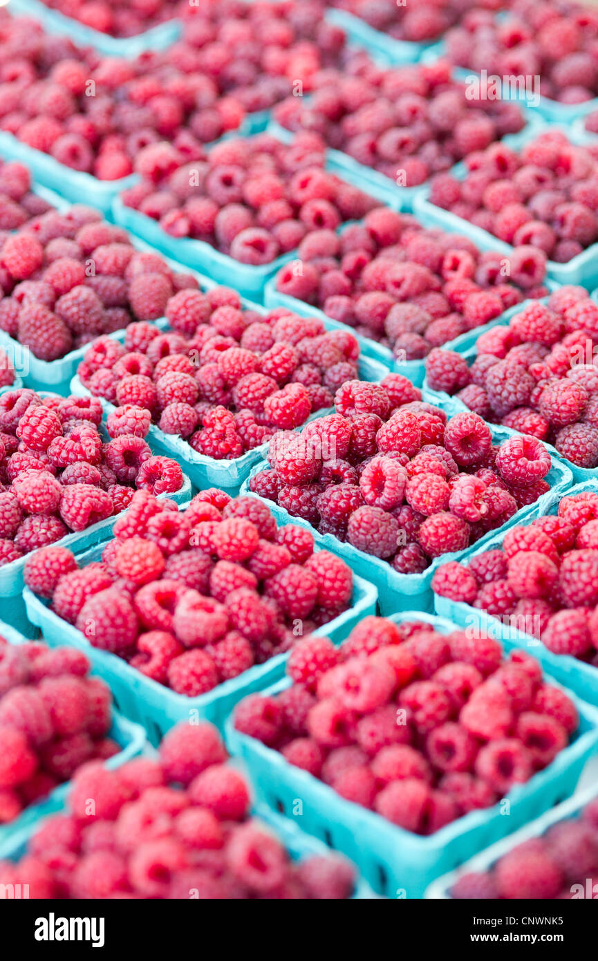 Fresh whole raspberries hi-res stock photography and images - Alamy