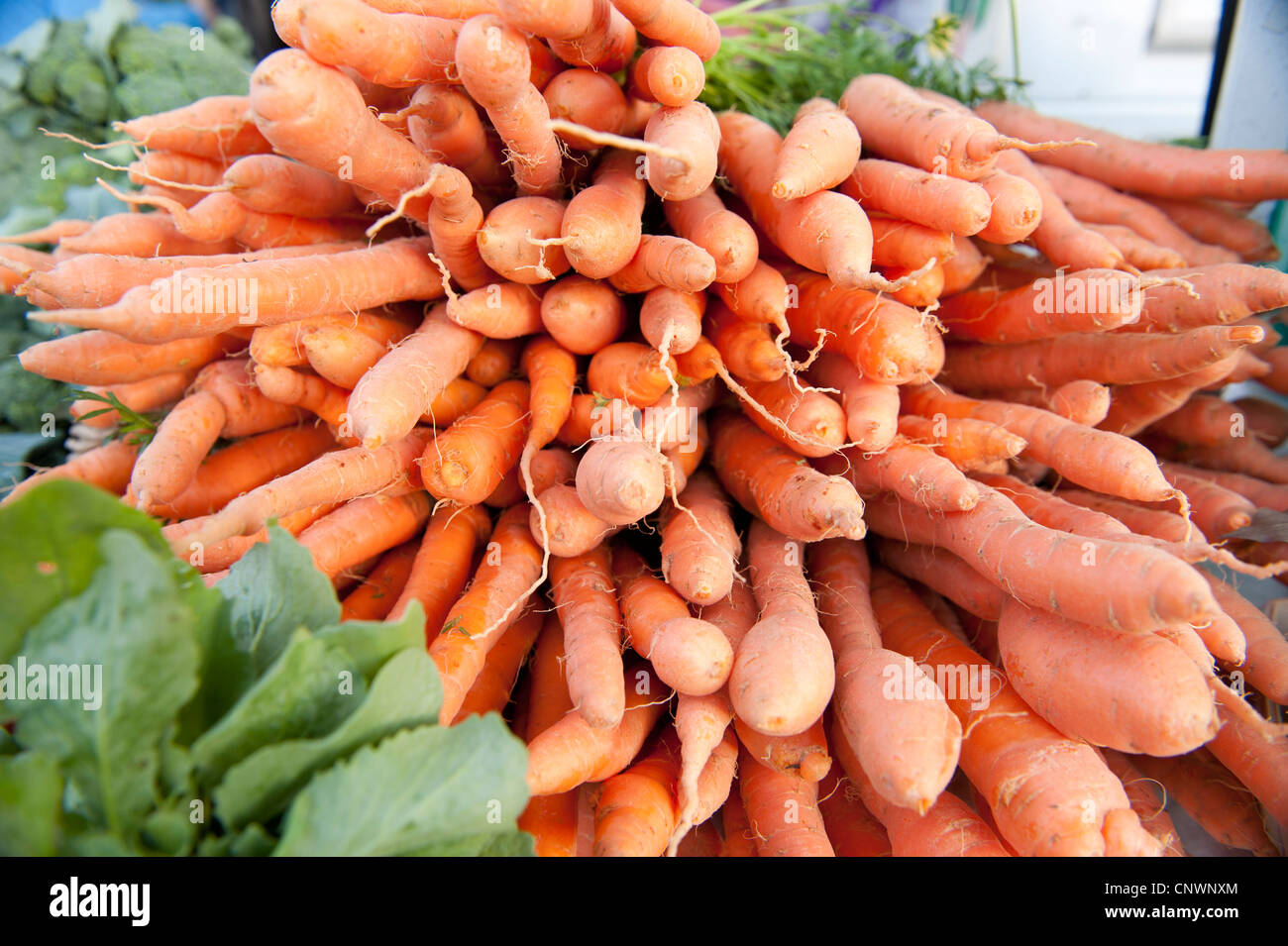 Colonial Williamsburg Farmers Market Stock Photo - Alamy