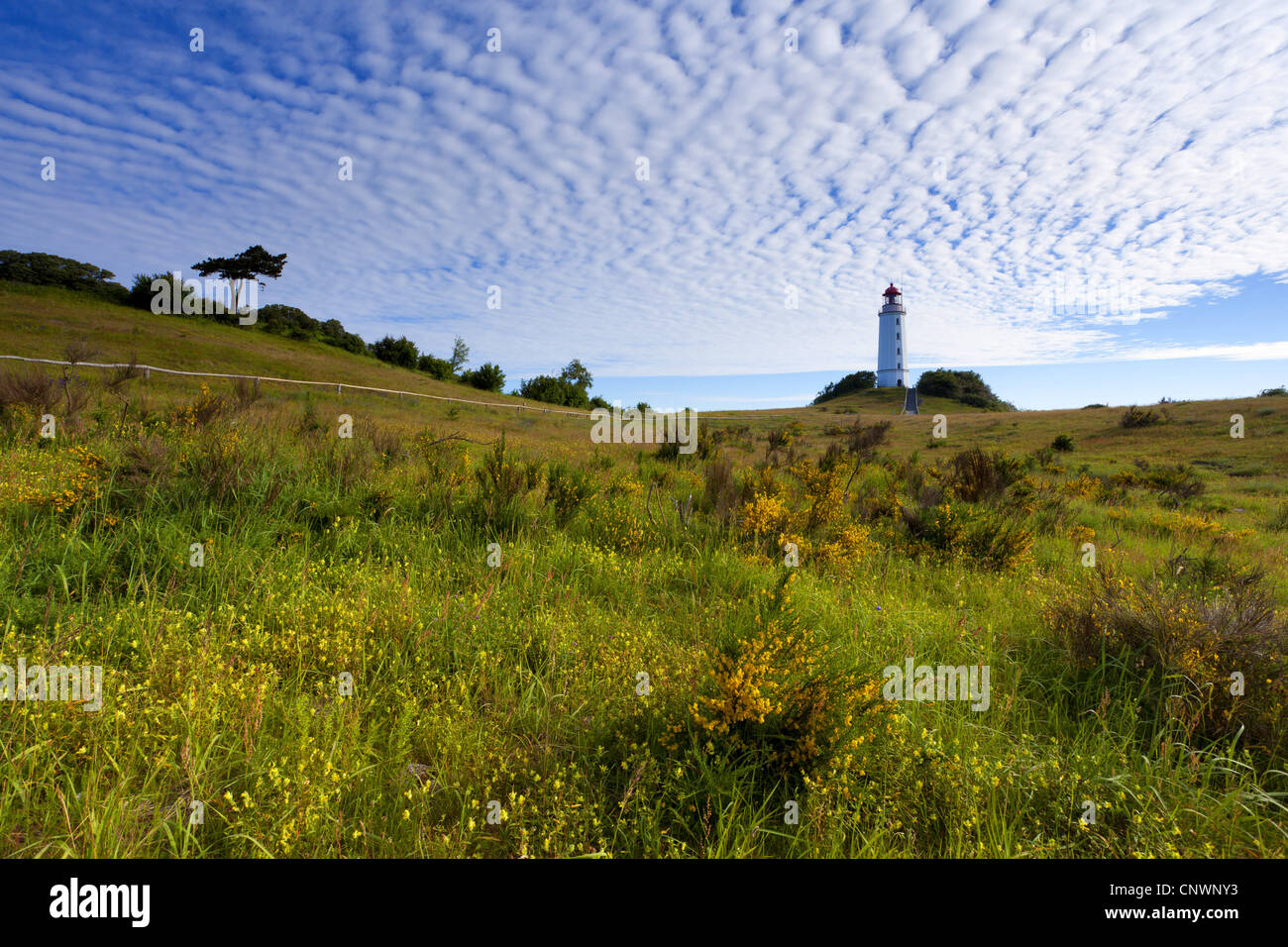lighthouse in meadow landscape, Germany, Mecklenburg-Western Pomerania ...
