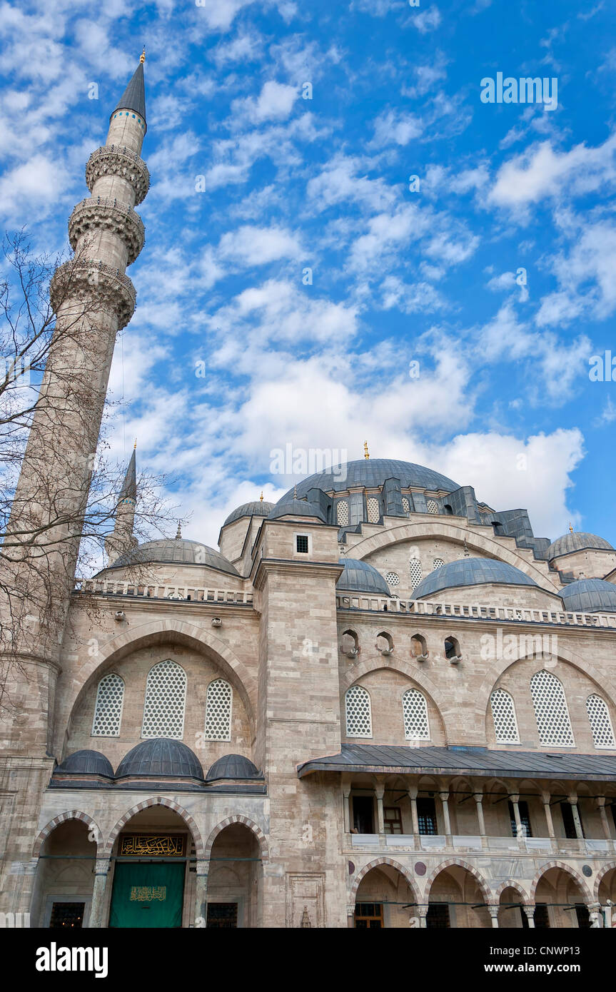 A view of the majestic Suleiman Mosque in Istanbul, Turkey Stock Photo ...