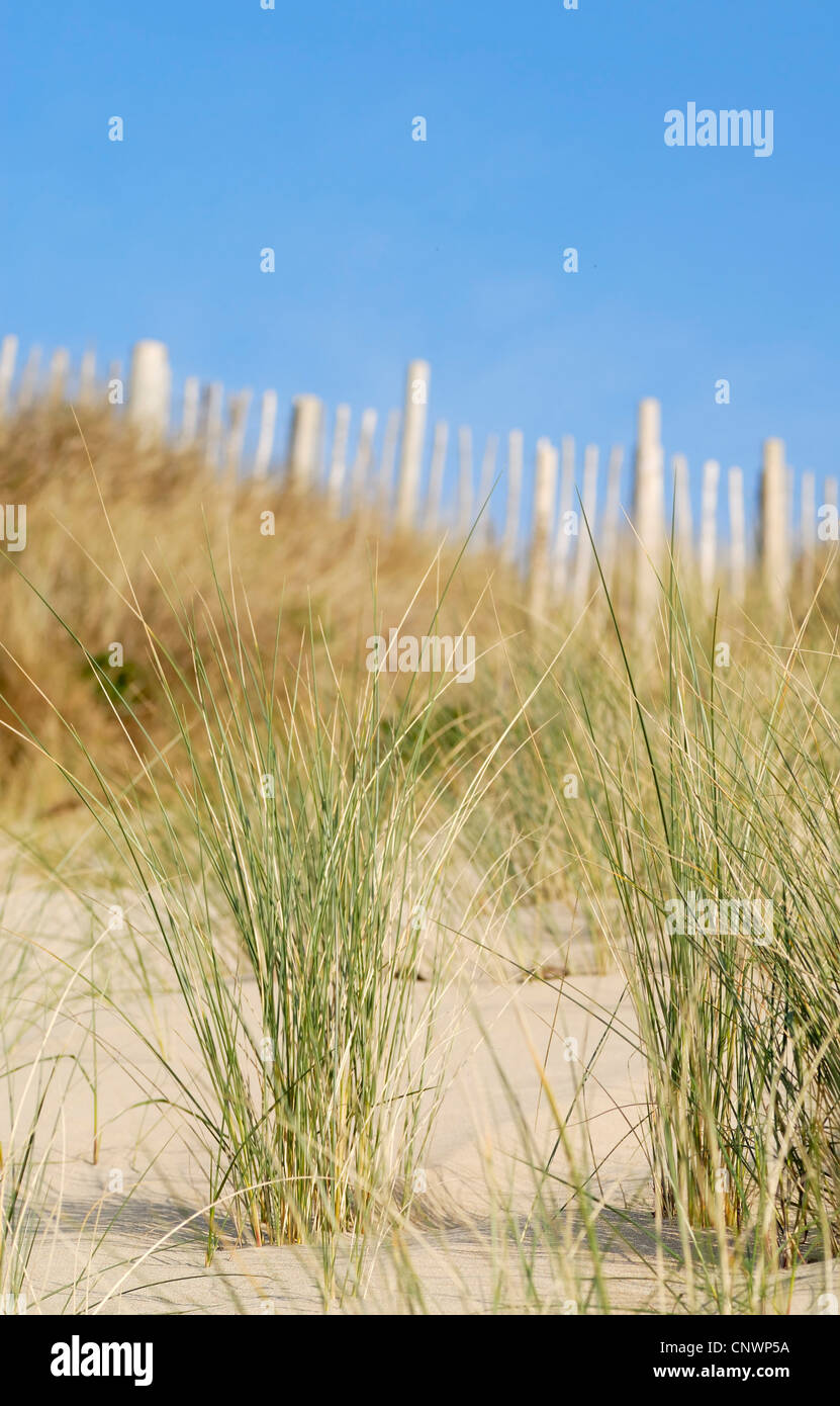 Dune scene hi-res stock photography and images - Alamy