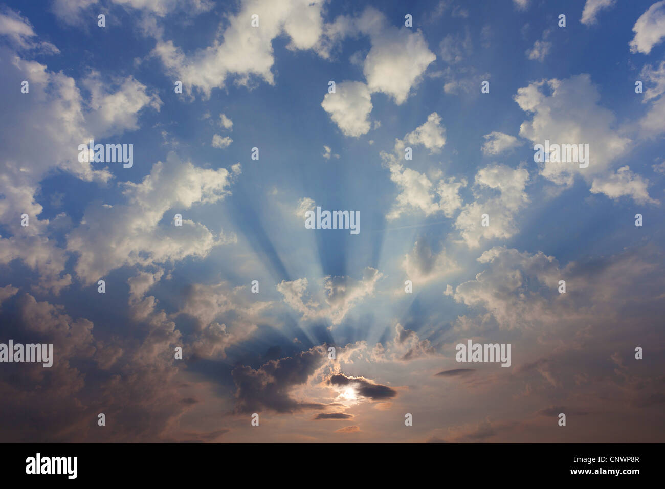 Morning sun lights hi-res stock photography and images - Alamy