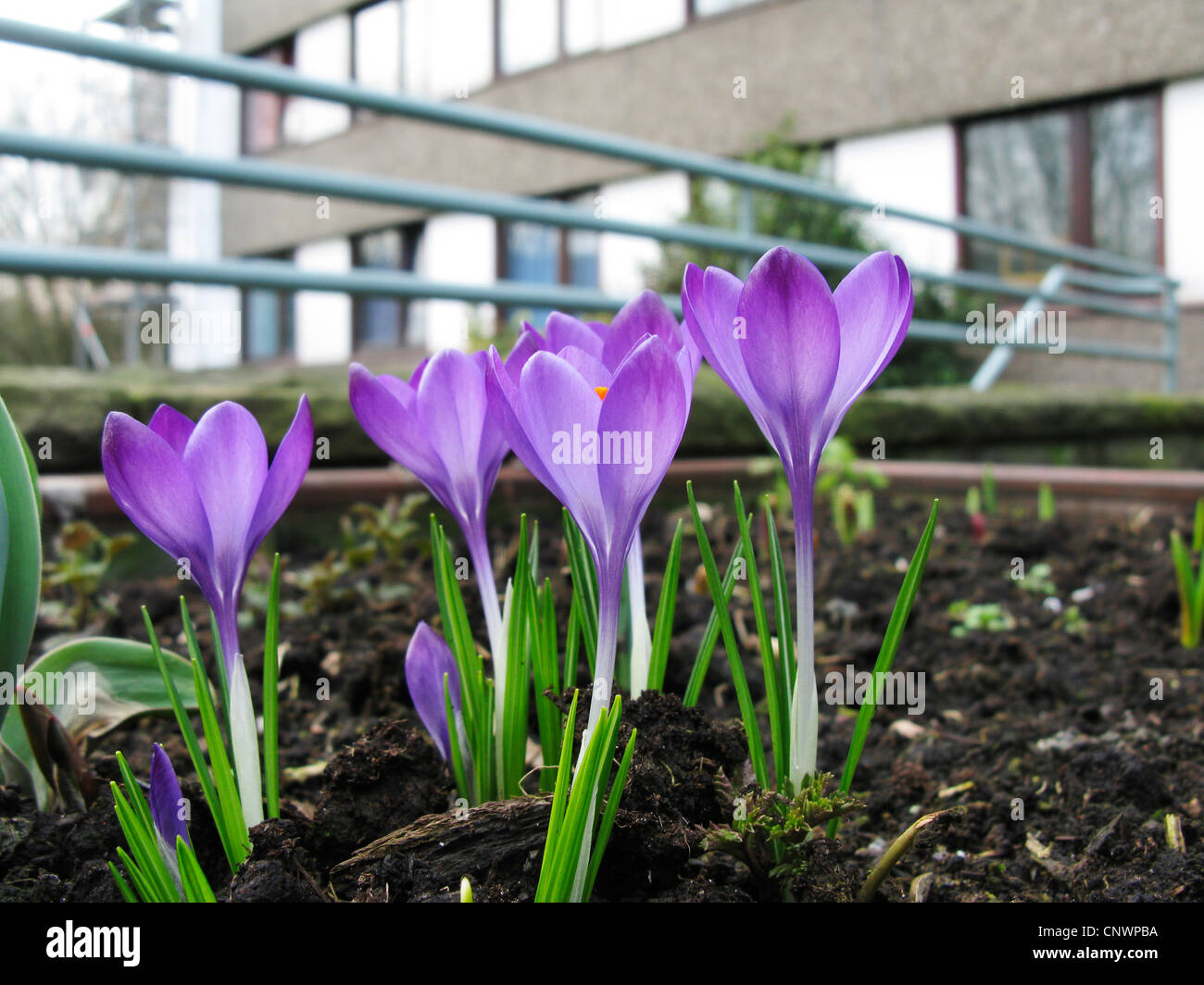 Heuffels hi-res stock photography and images - Alamy