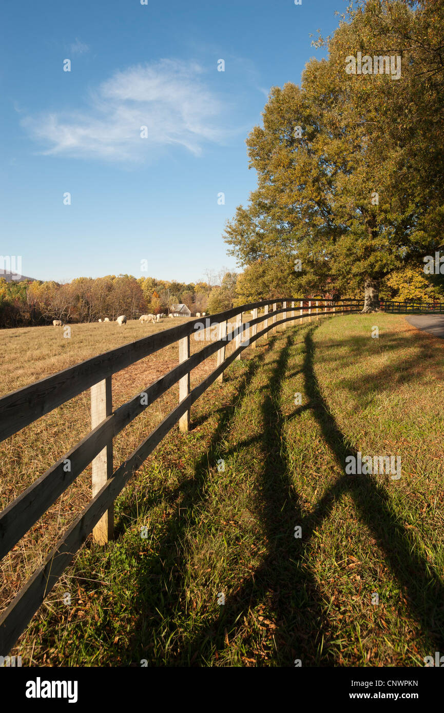 Fencing around a pasture for livestock on a farm in autumn with ...