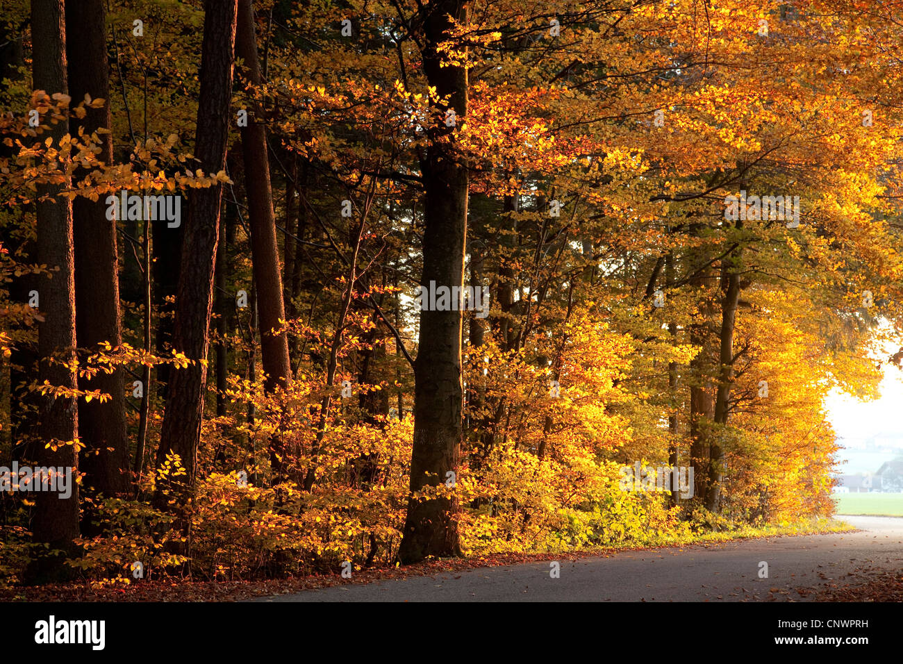 Edge coloring hi-res stock photography and images - Alamy