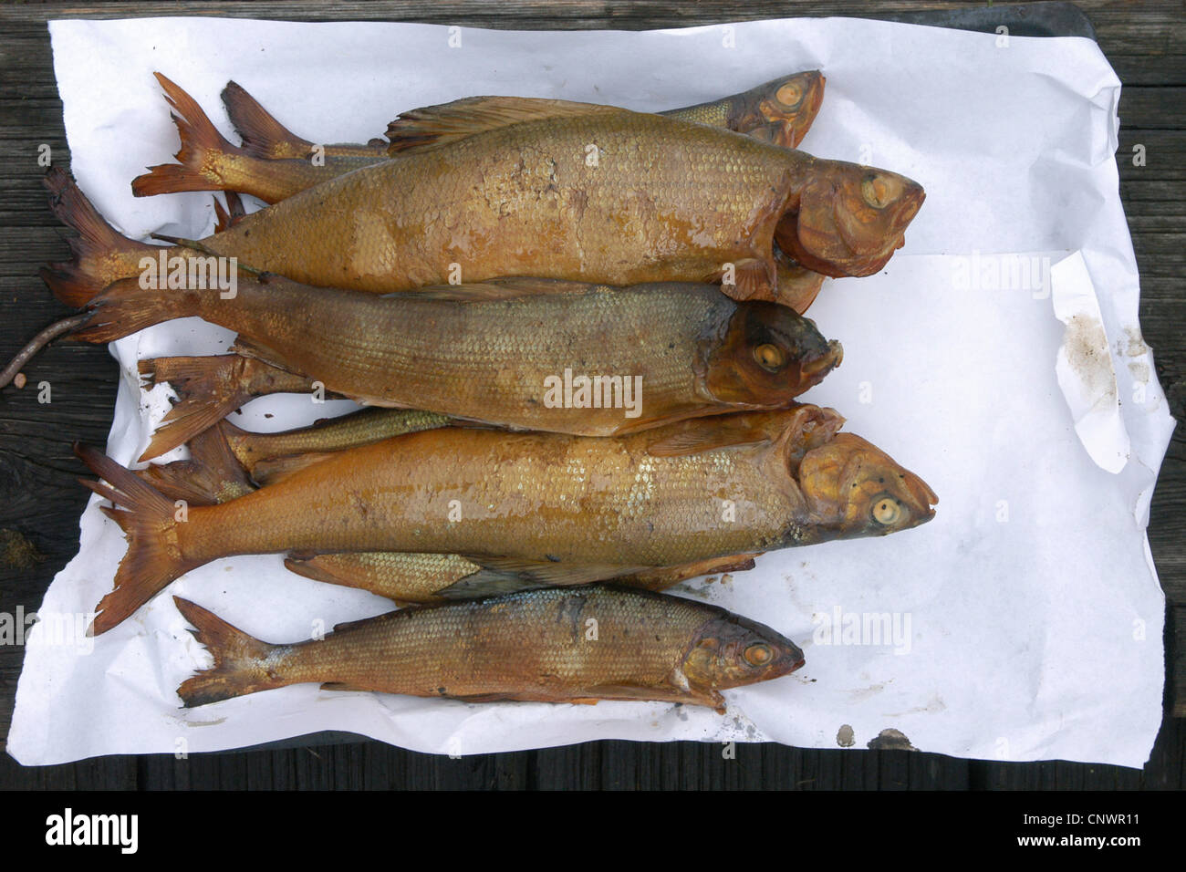 Smoked graylings hi-res stock photography and images - Alamy