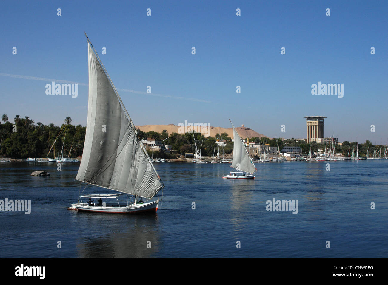 Feluccas, the traditional Egyptian sailing boats, on the Nile in Aswan ...