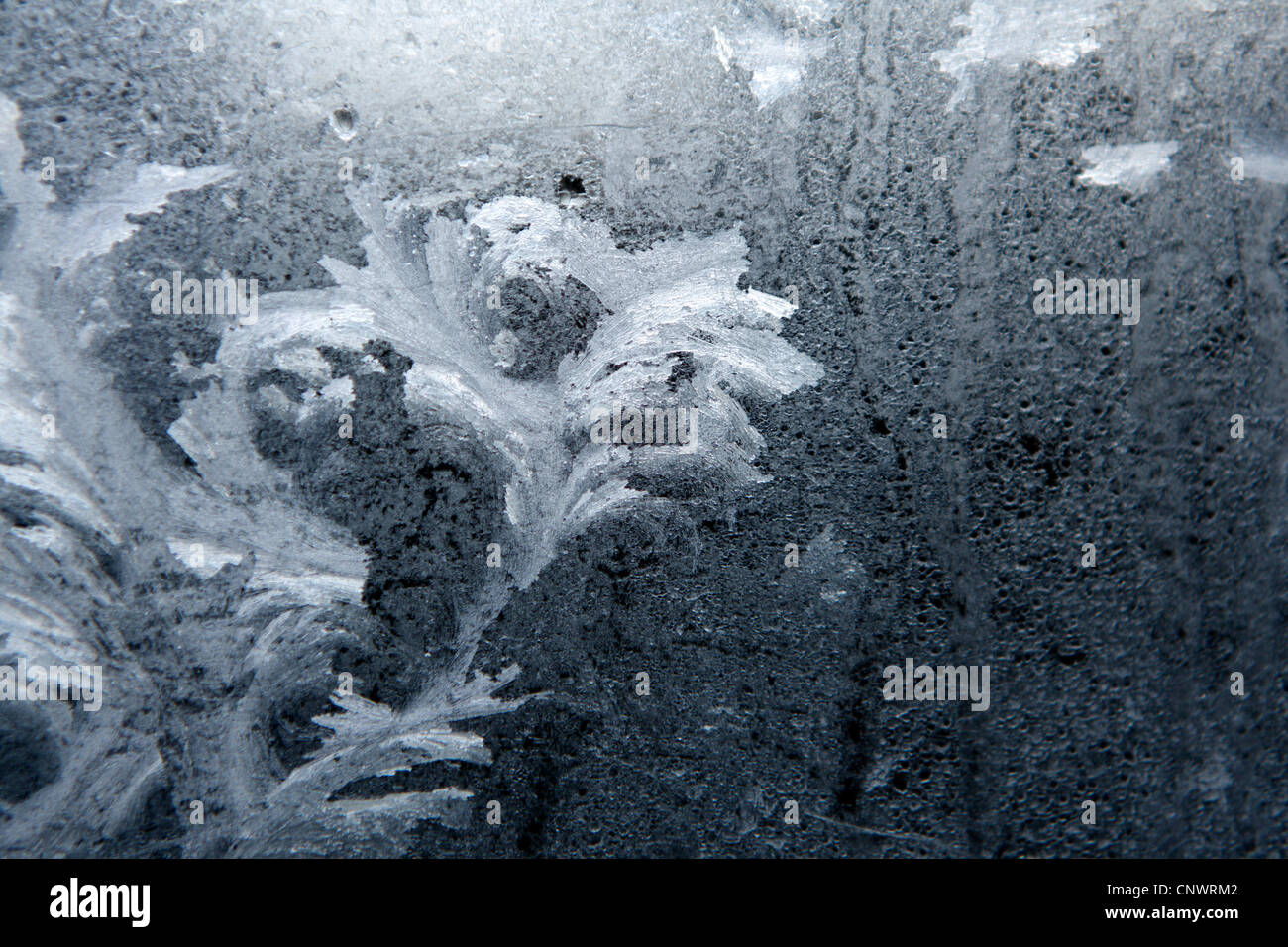 Frost On Window Minor White