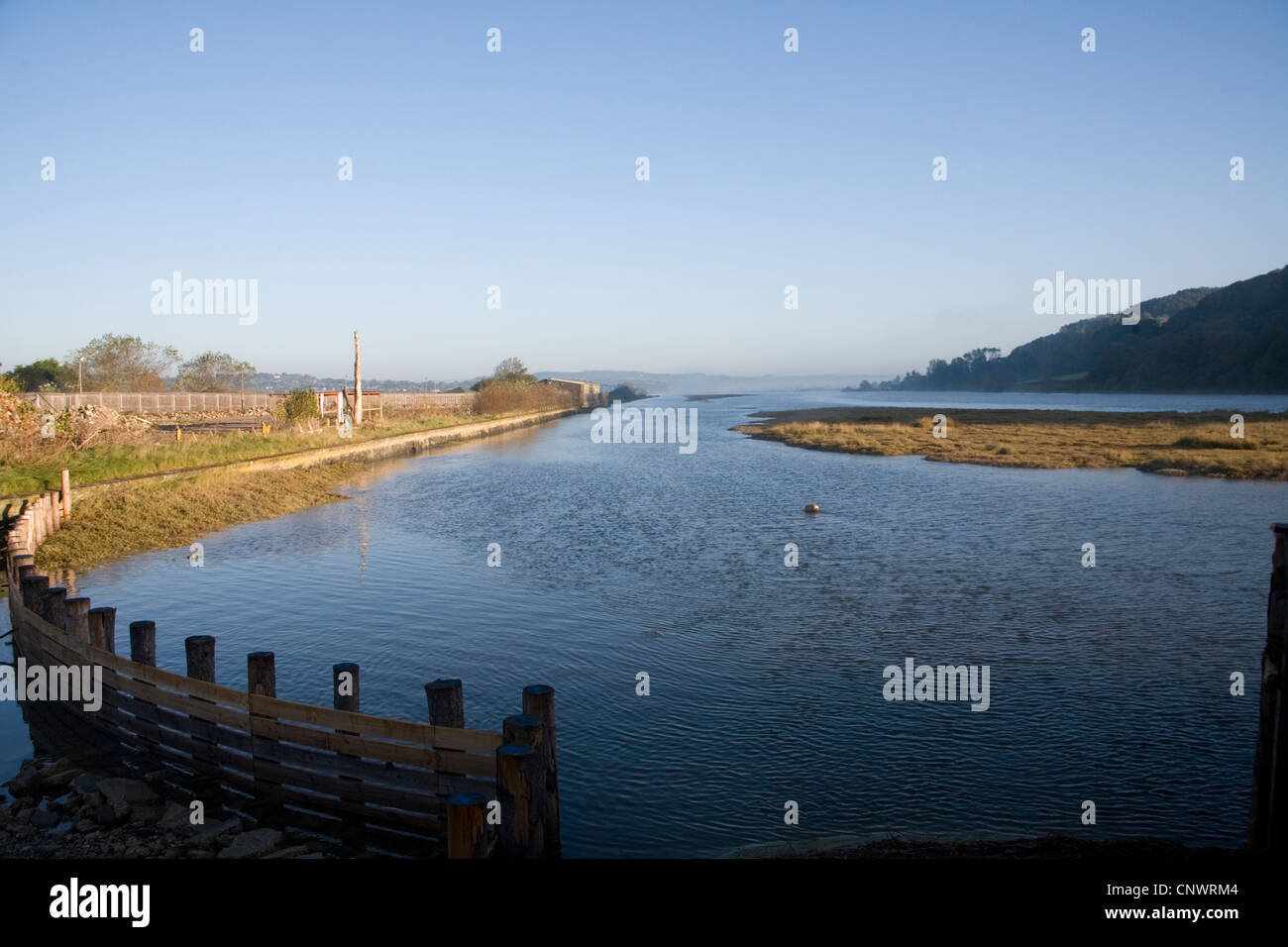 Axe Valley Estuary early morning Stock Photo - Alamy