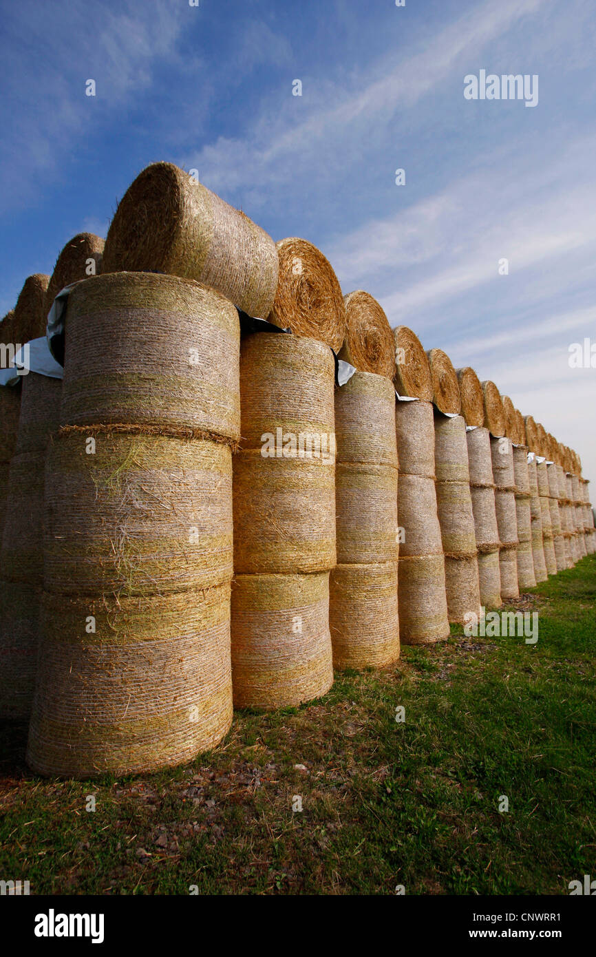 Hay piles hi-res stock photography and images - Alamy