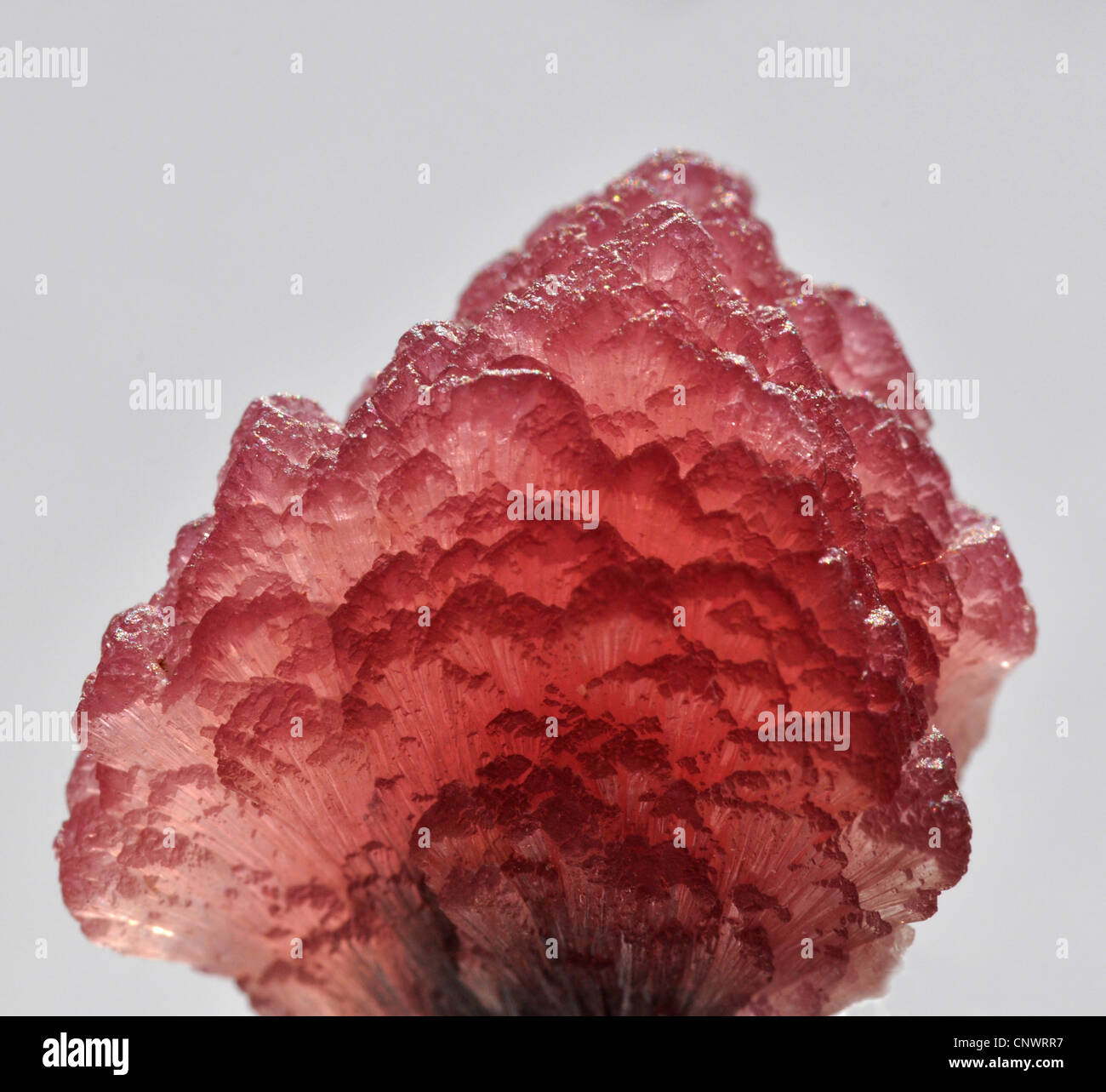 Pink Tourmaline High Resolution Stock Photography and Images - Alamy