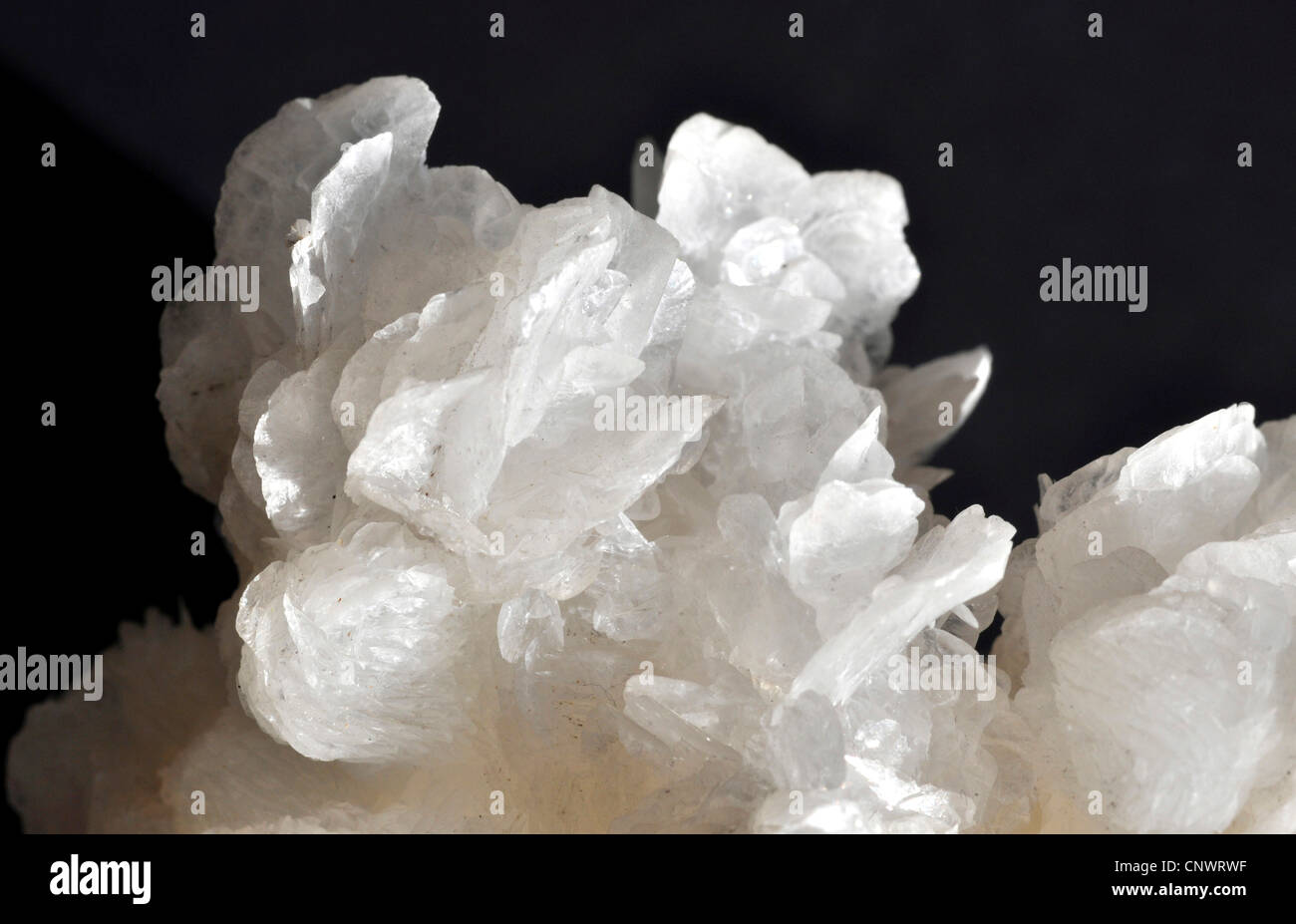 Calcite crystal white hi-res stock photography and images - Alamy