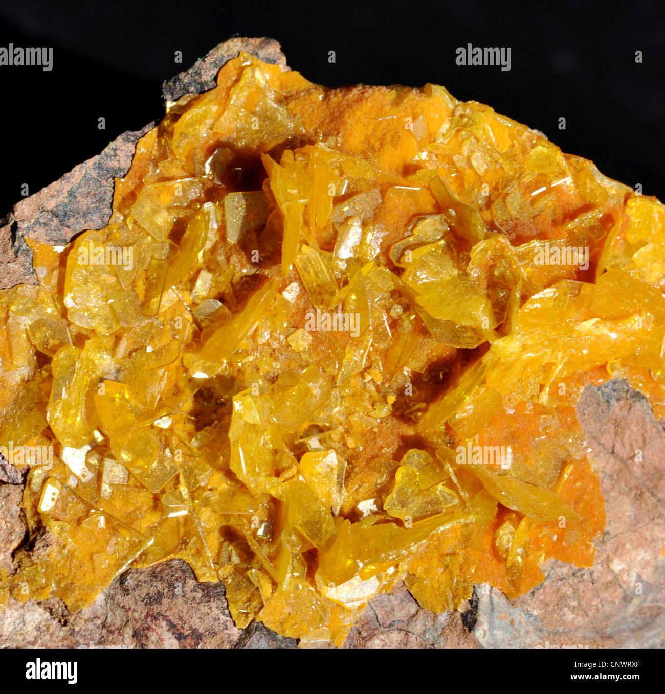Wulfenite crystal hi-res stock photography and images - Alamy