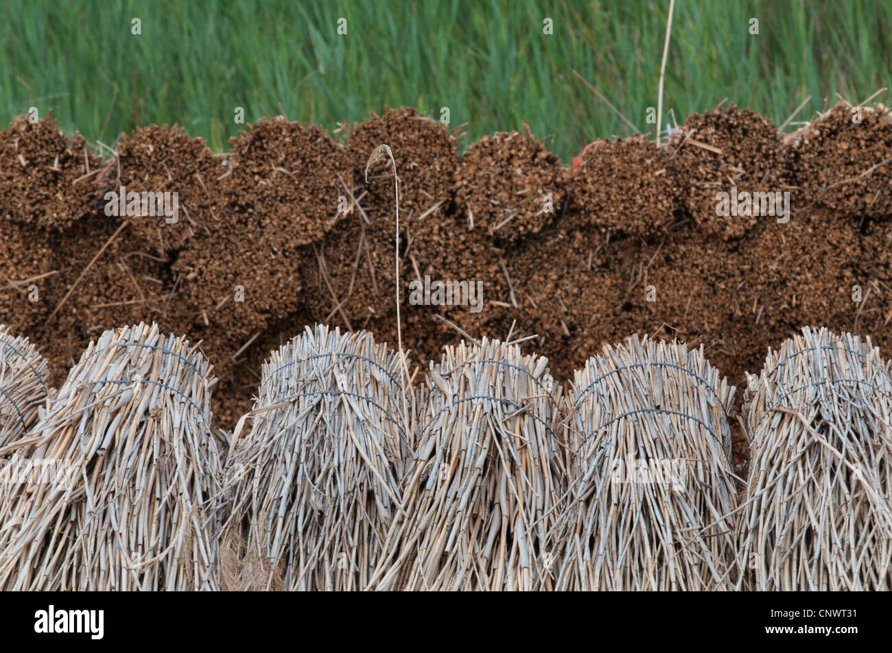 Reed building hi-res stock photography and images - Alamy