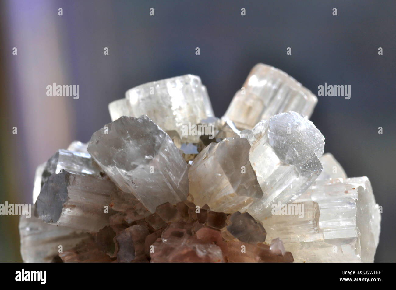 Aragonit hi-res stock photography and images - Alamy