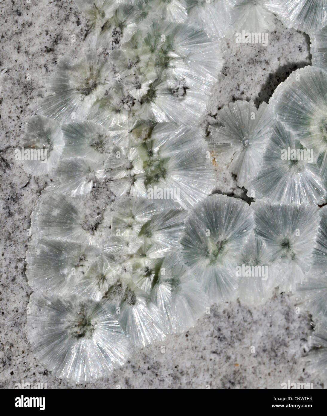 Orthorhombic crystals hi-res stock photography and images - Alamy