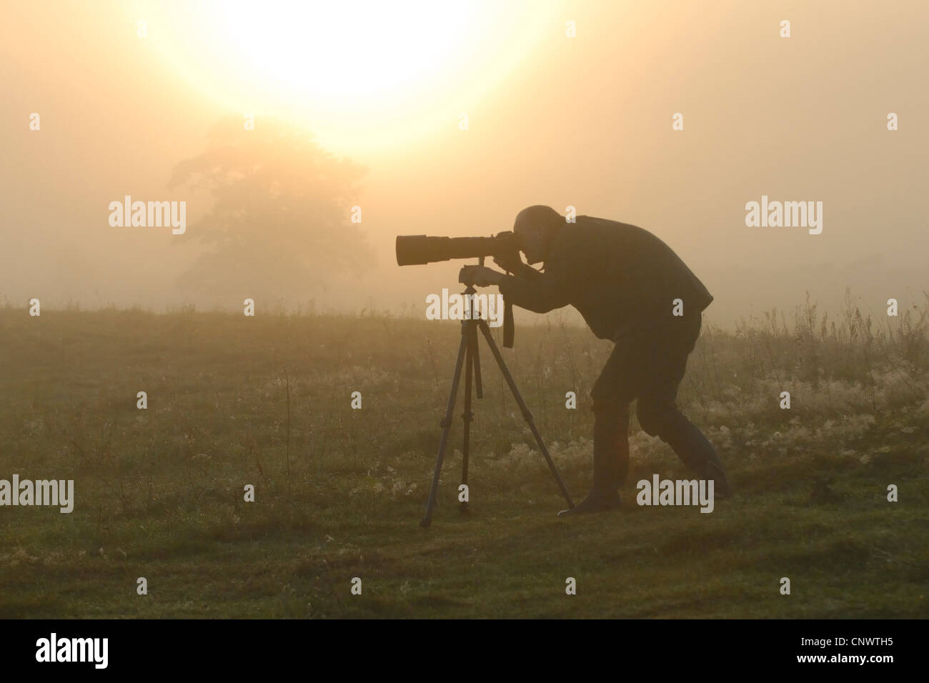 Man risers lateral hi-res stock photography and images - Alamy