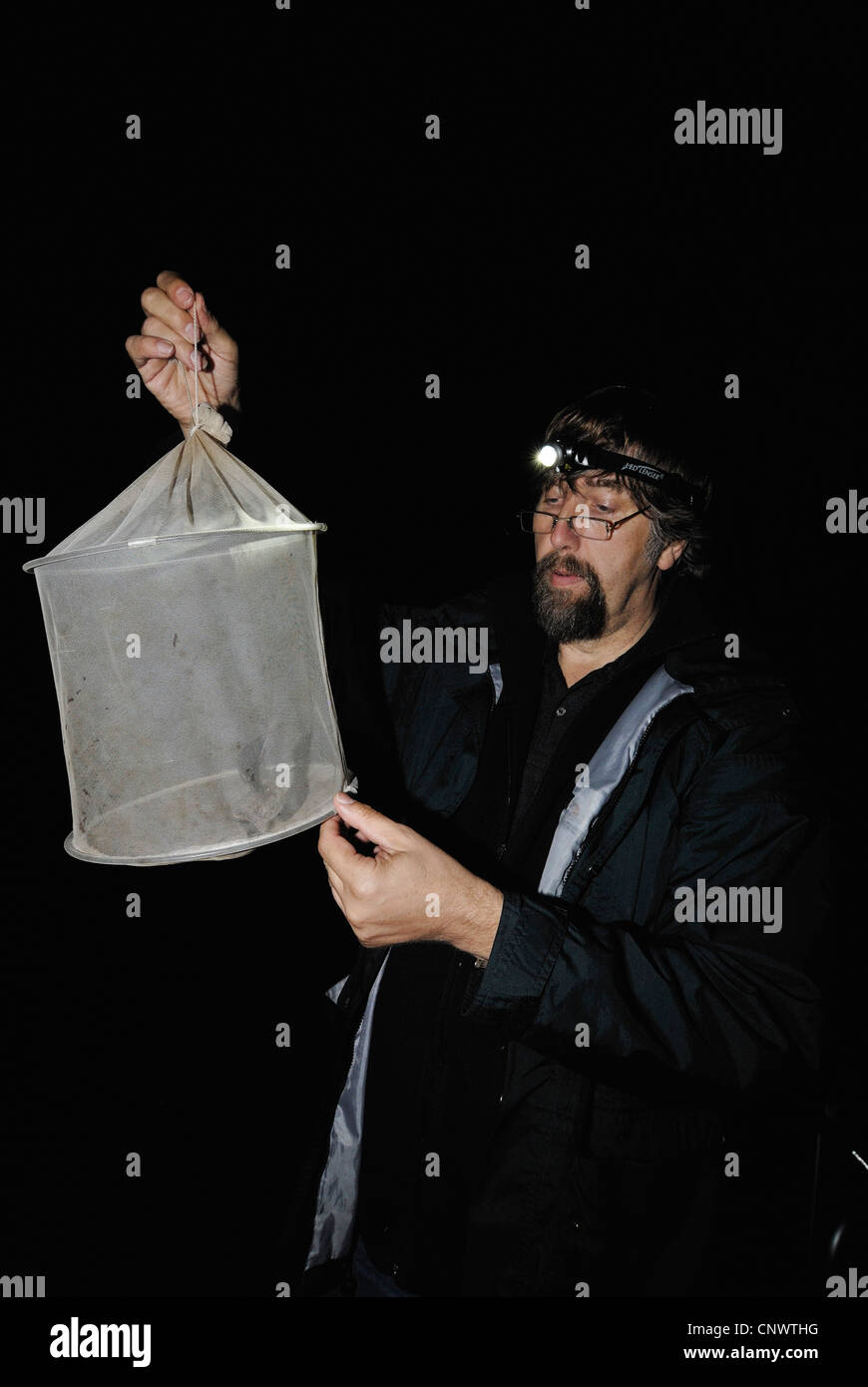 Person holding bats animals hi-res stock photography and images - Alamy