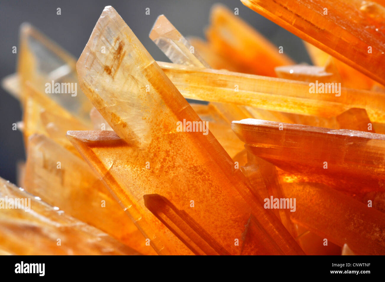 Selenium crystals hi-res stock photography and images - Alamy