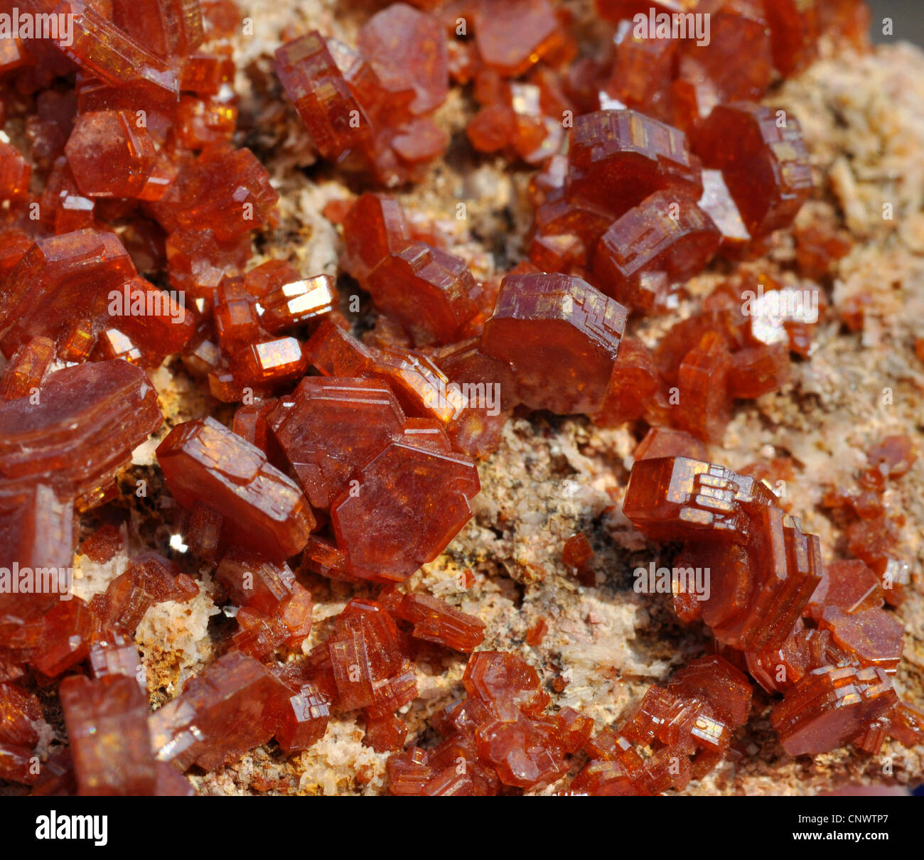 Vanadinite hi-res stock photography and images - Alamy