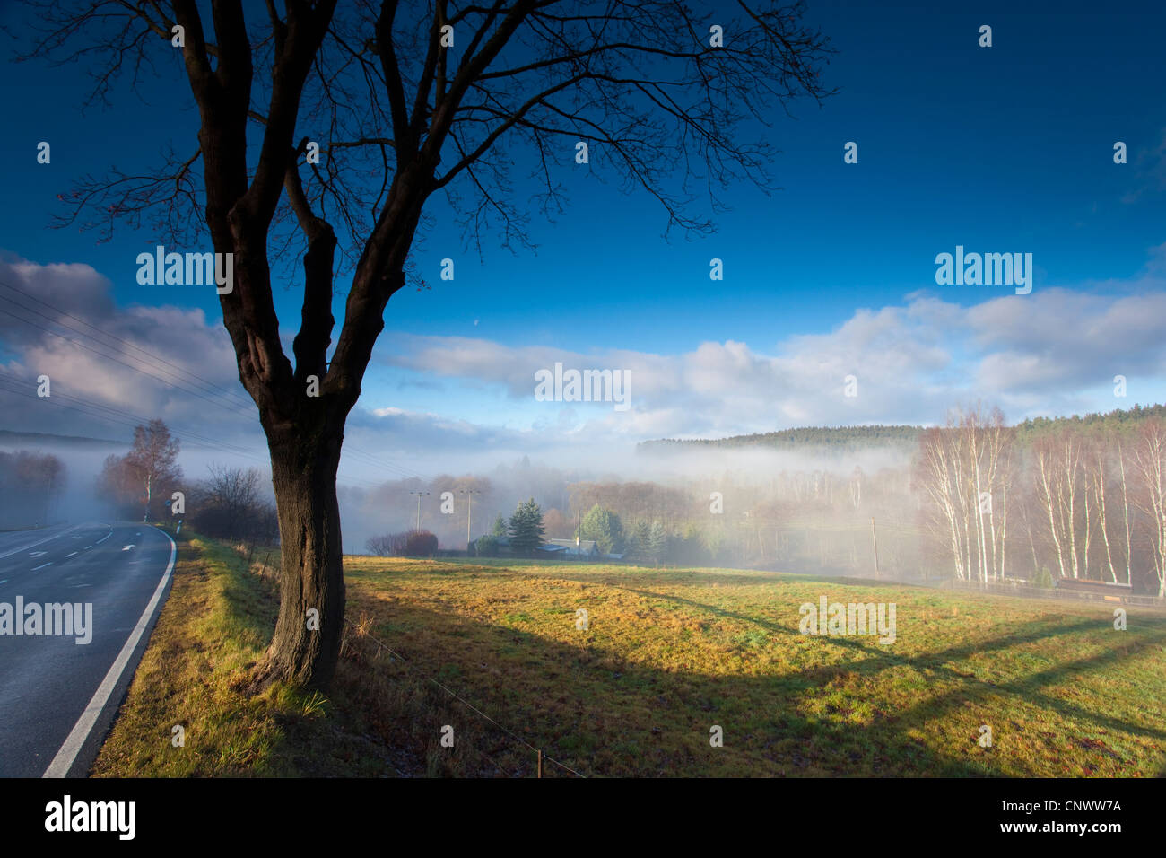 Country road with mist hi-res stock photography and images - Alamy