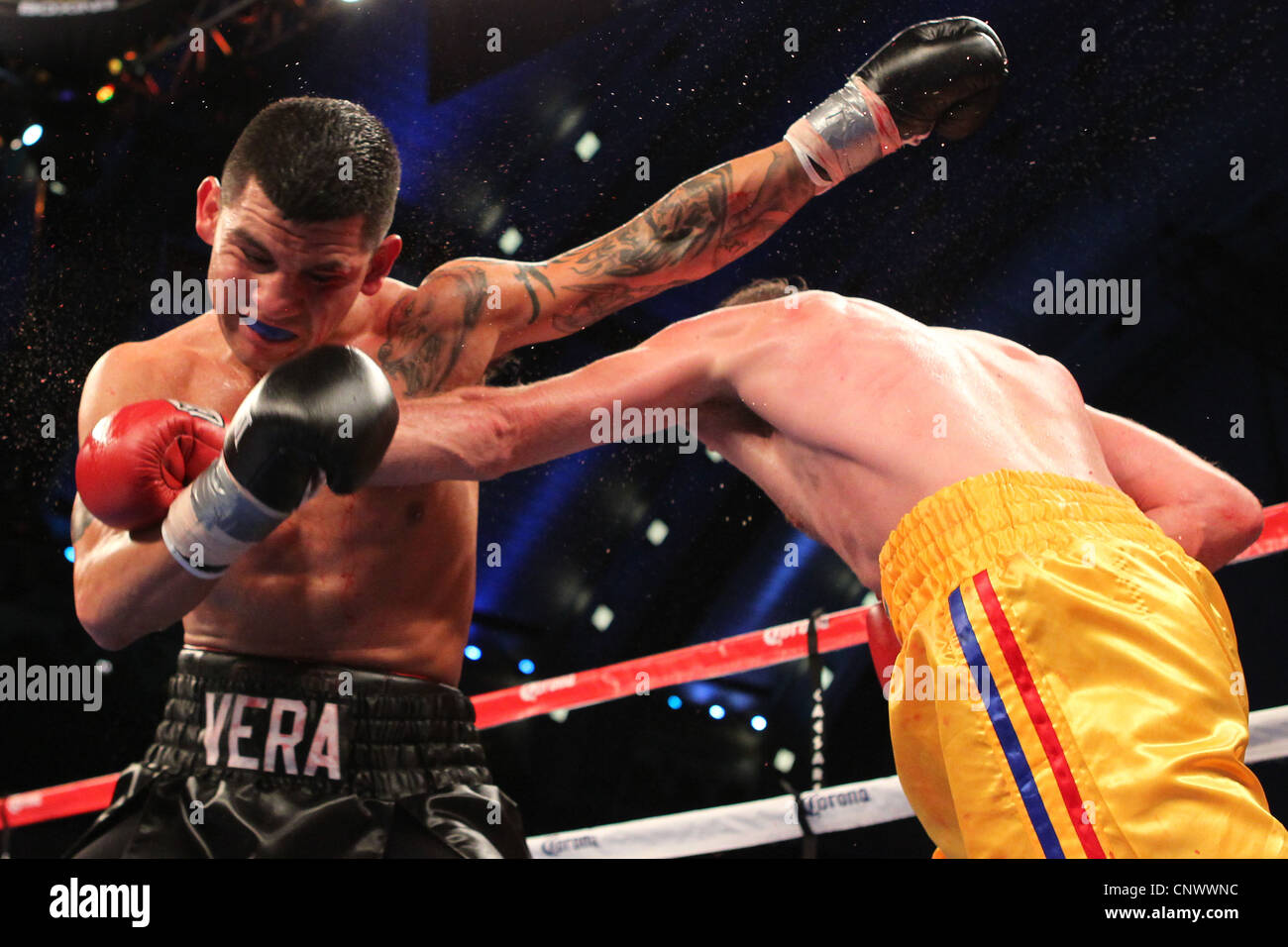 Andy Lee and Brian Vera trade punches at Boardwalk Hall in Atlantic City Stock Photo - Alamy