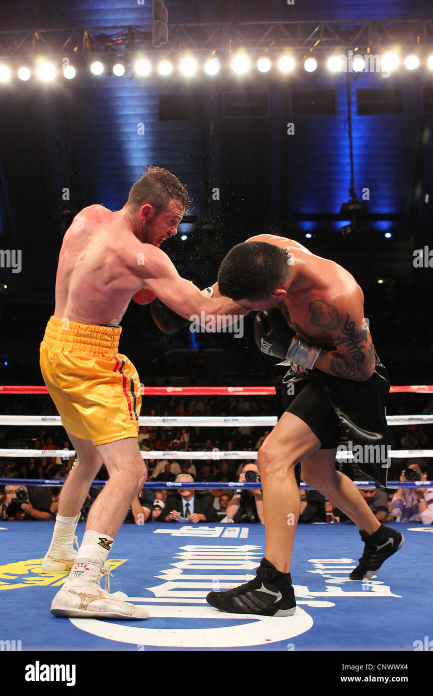 Andy lee boxing hi-res stock photography and images - Alamy