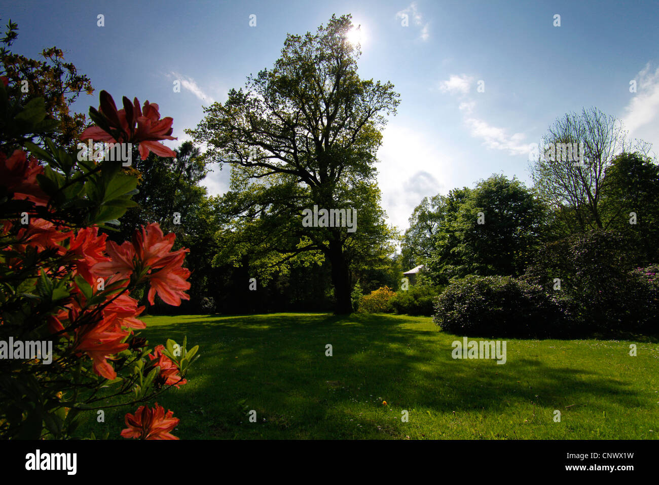 Surrounded by flowers and trees hi-res stock photography and images - Alamy