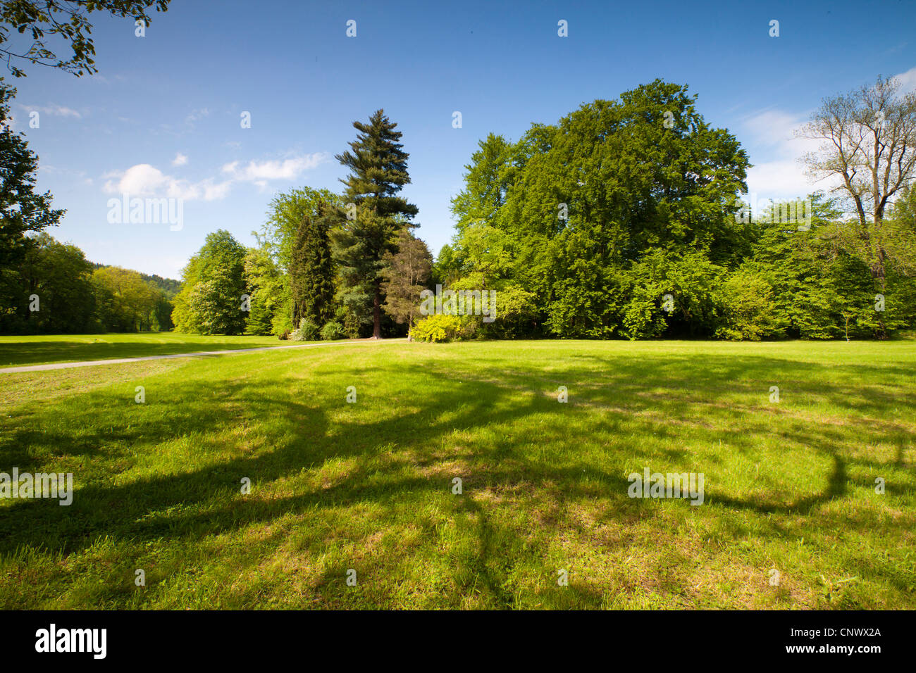 path through meadows surrounded by bushes and trees at the palace ...